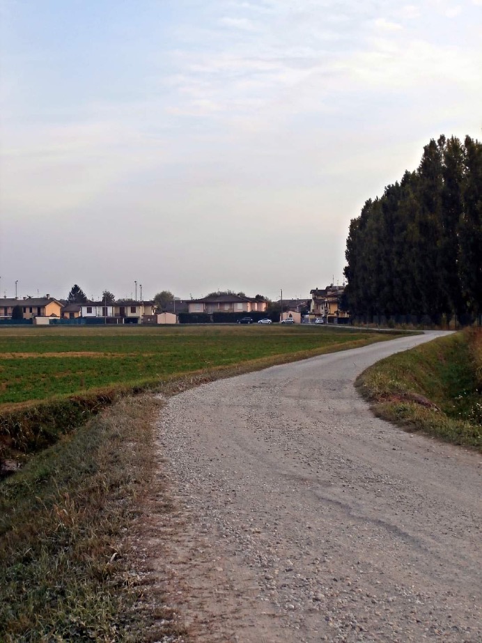 Crema News - Nuove piante in paese