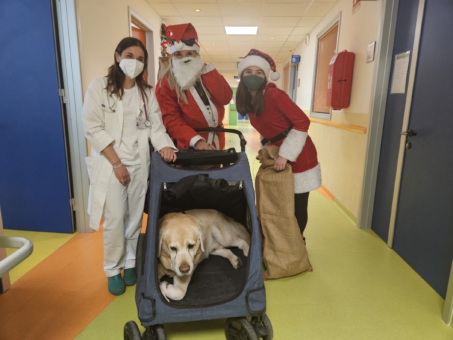 Crema News - Crema - Boston, Babbo Natale per un giorno