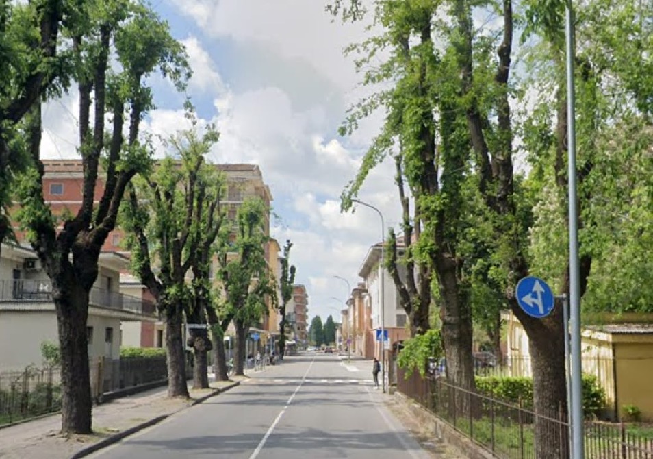 Crema News - Crema - Alberi in pericolo